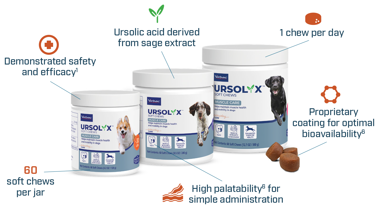 URSOLYX™ Soft Chews